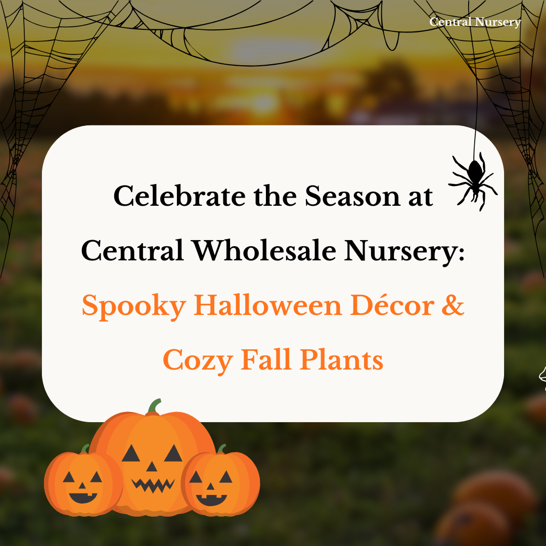 Celebrate Fall with Spooky Halloween and Cozy Plants - Central ...